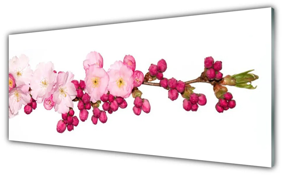 akrylový obraz Květ Větev 125x50 cm
