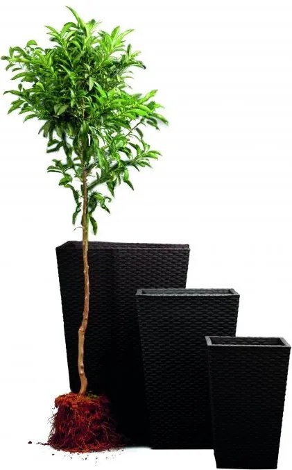 KETER - květináč Rattan Planter M, antracit