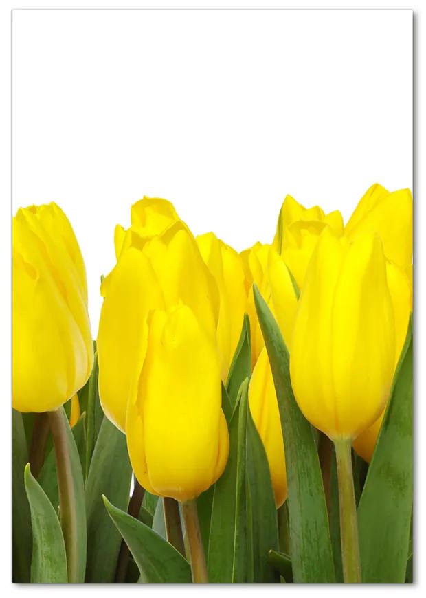 Wallmuralia Foto obraz fotografie na skle Žluté tulipány 70x100 cm
