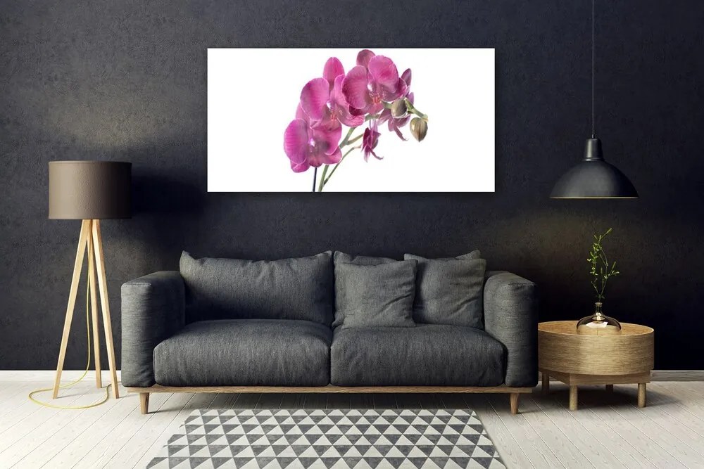 Plexisklo-obraz Orchidej Květiny Příroda 120x60 cm