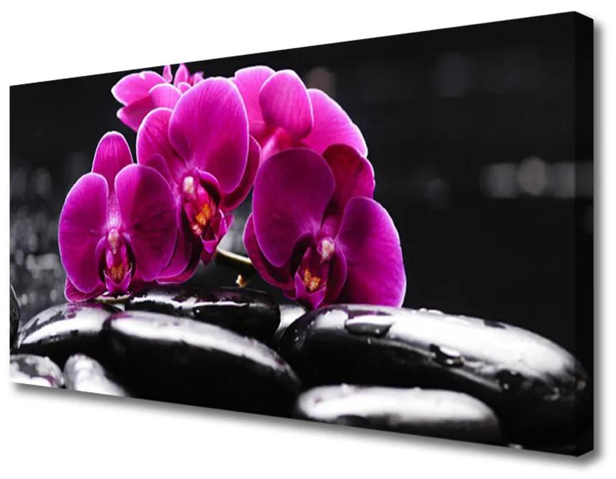 Obraz na plátně Kameny Zen Orchidej Lázně 100x50 cm