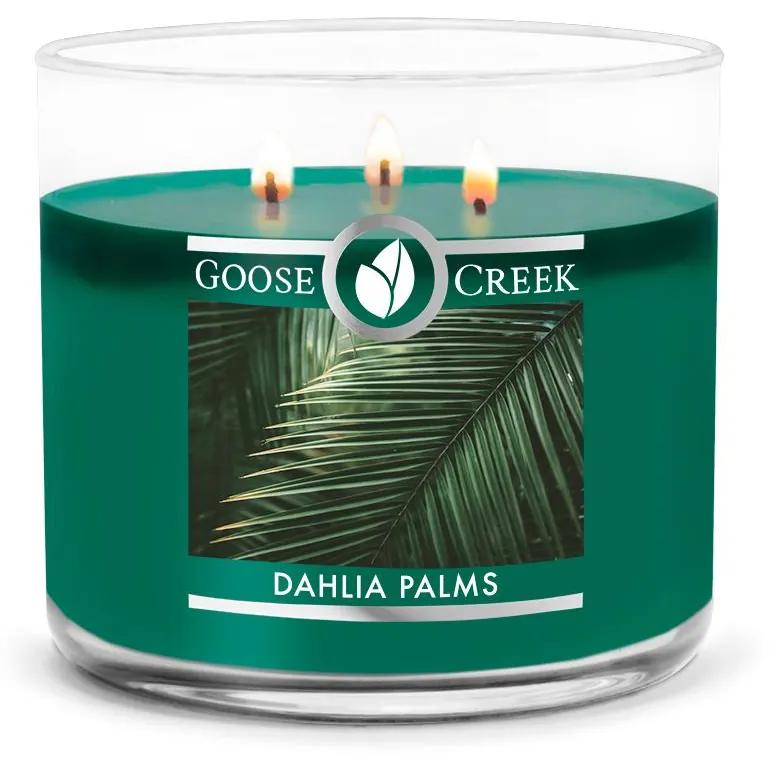 Goose Creek Candle svíčka Dahlia Palms, 411 g