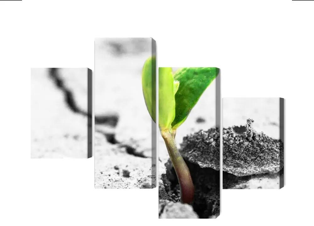 Vícedílný obraz 3D Rašení Rostlin Nedostatek Nedostatek Plátno Canvas 120x75
