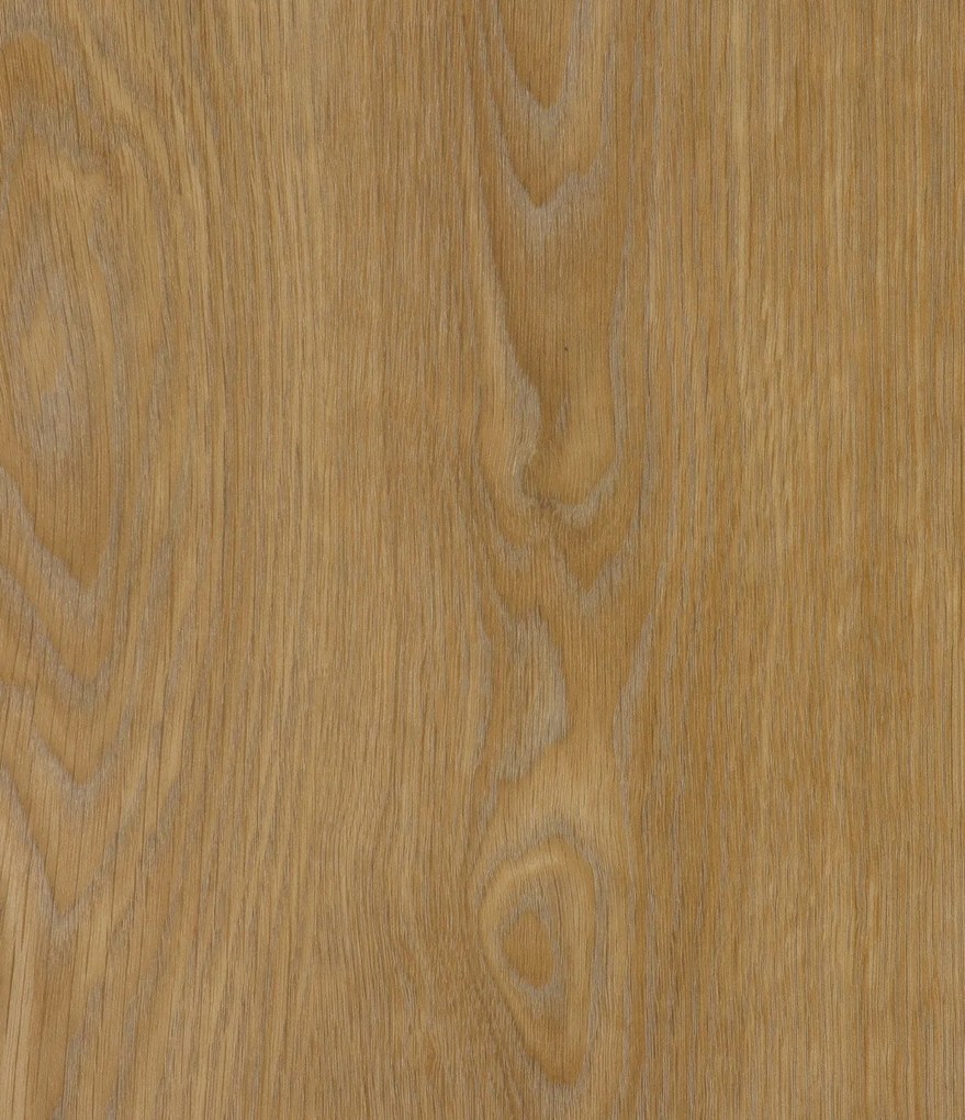IVC Commercial, PVC podlaha - lino Logitex Ultimate 55 Elias T44, na míru, šíře 2m,4m, hnědá, filc, chodba / předsíň