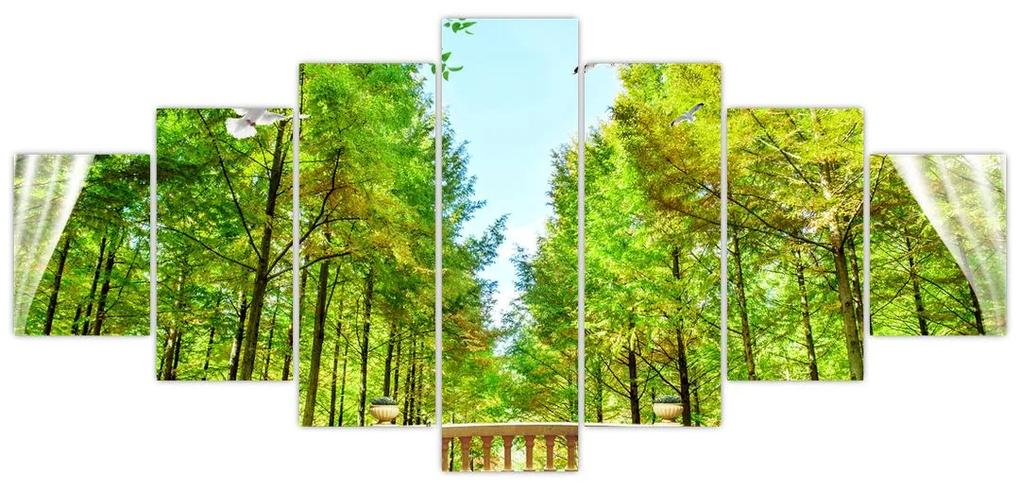 Obraz - Výhled na les (210x100 cm)