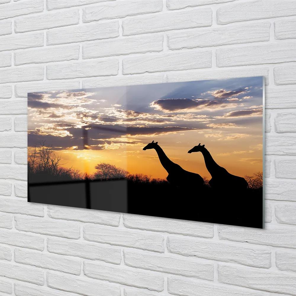 akrylový obraz Žirafy strom mraky 125x50 cm