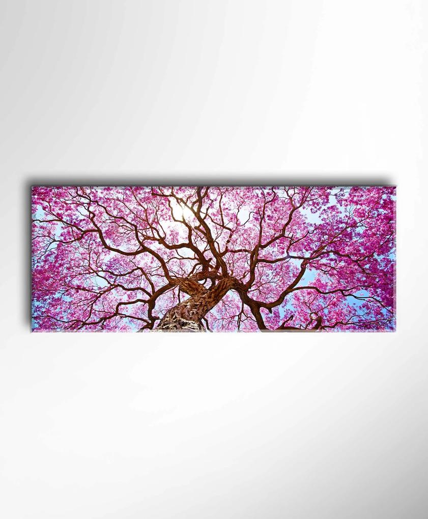 Malvis ® Obraz Rozkvetlý strom s růžovými květy ROZMĚR (šířka x výška): pětidílný obdélník 200x90 cm