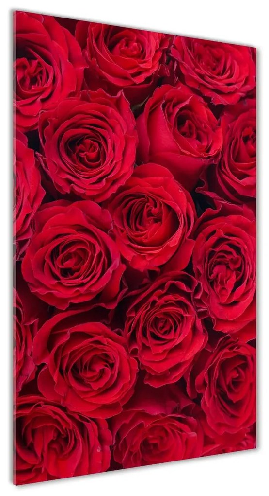 Foto obraz na plátně Červené růže
