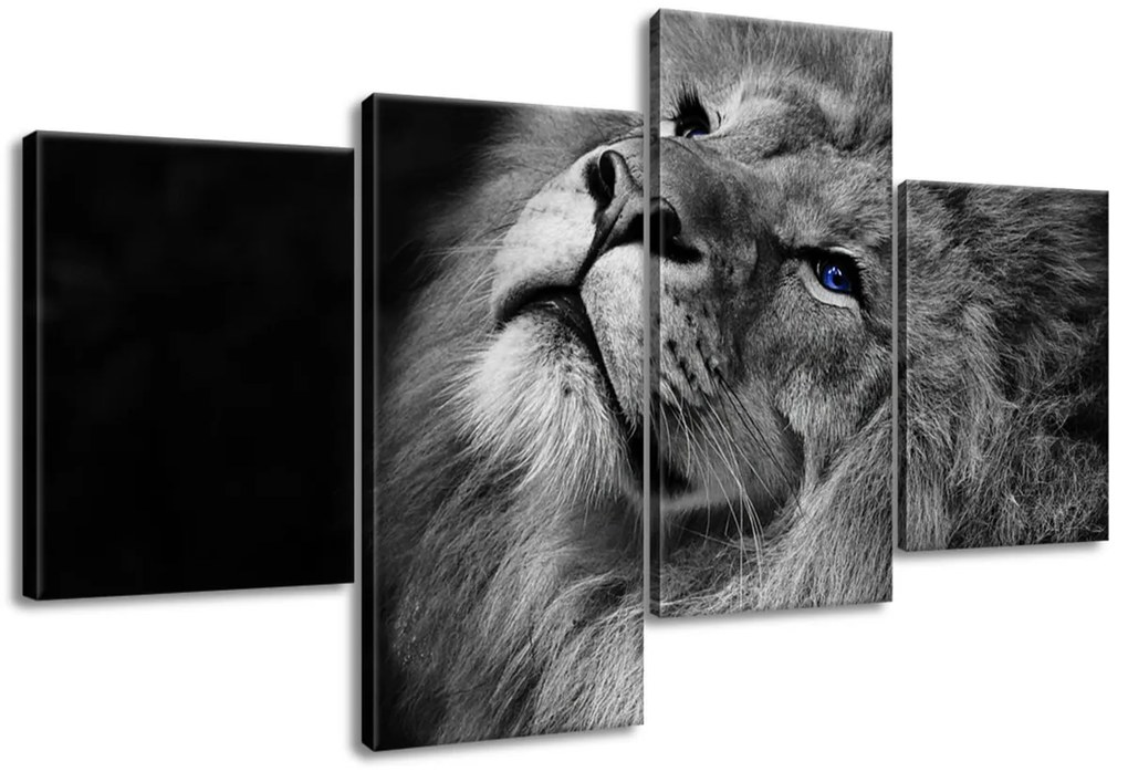 Gario 4 dílný obraz na plátně Modrooký lev Velikost: 120 x 70 cm