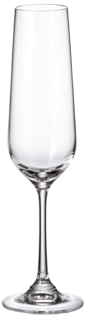 Crystalite Bohemia sklenice na šampaňské Strix 200 ml 6KS