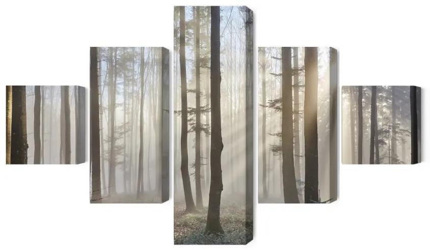 Vícedílný obraz Východ Slunce V Lese Nedostatek Nedostatek Přírodní plátno 150x90