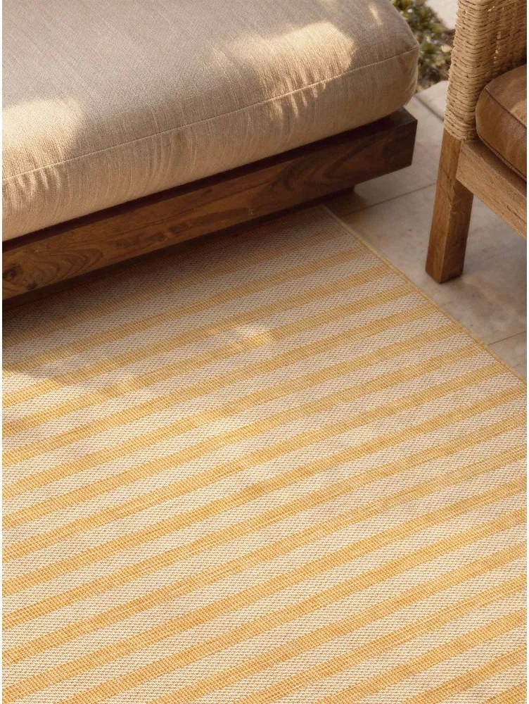 Okrově žlutý/krémový vnitřní a venkovní koberec 200x300 cm Haringey Linley – Ted Baker