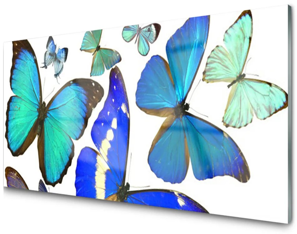 Akrylové obraz Skleněný Motýli Příroda