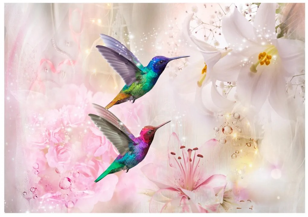 Fototapeta - Colourful Hummingbirds (Pink)