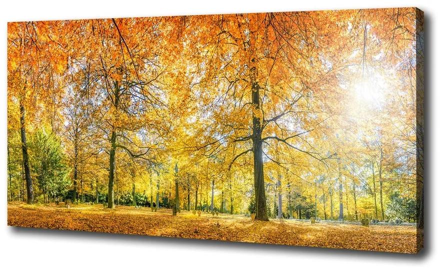 Wallmuralia Foto obraz na plátně Podzimní les 100x50 cm