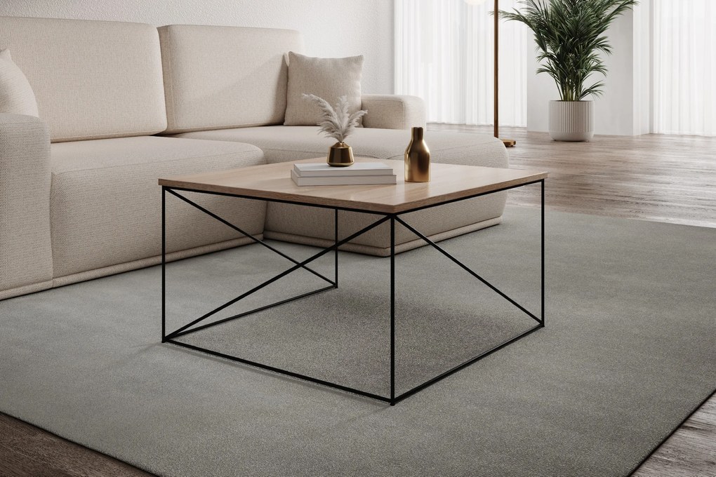ADRK Furniture Konferenční stolek Nelia CT-NEL-B-S
