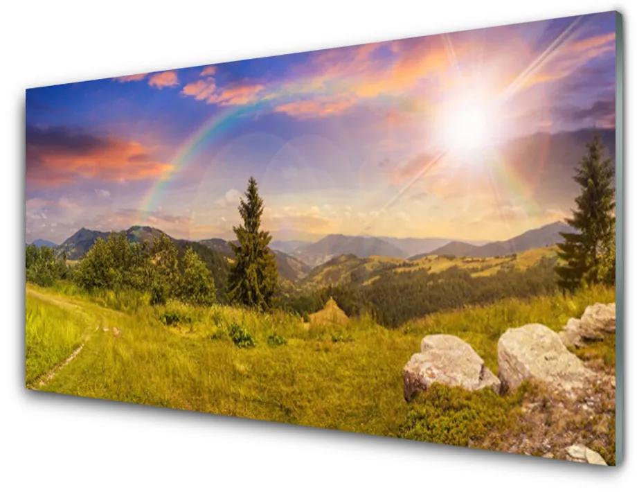 Plexisklo-obraz Hory Louka Kameny Příroda 125x50cm