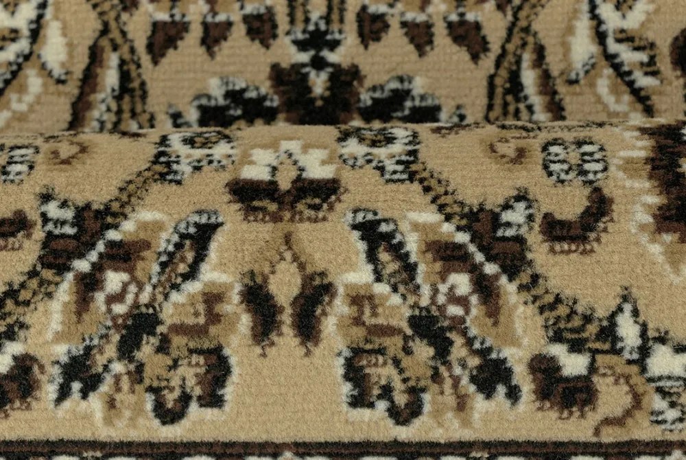 Sintelon, Kusový koberec Teheran Practica 59/EVE, 240x340, béžová, chodba / předsíň