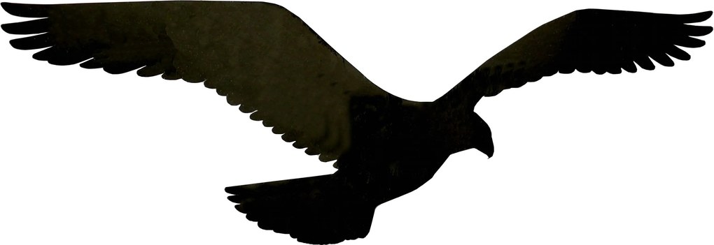 HARMONY sokol - černá silueta dravce (samolepící fólie - 350 mm)