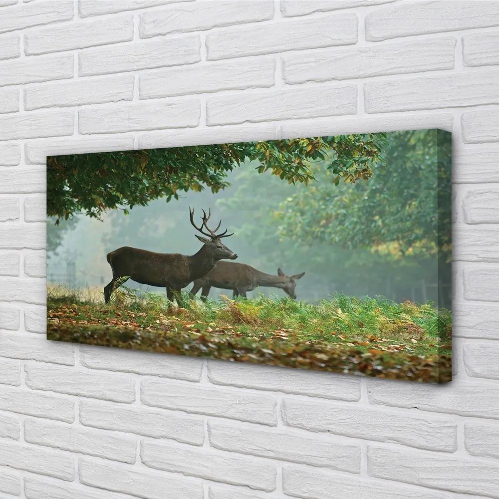 Obrazy na plátně Jelena na podzim les 125x50 cm