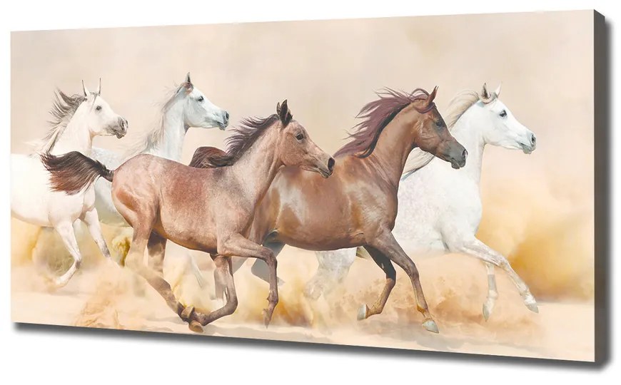 Wallmuralia Foto obraz na plátně Koně ve cvalu 120x60 cm