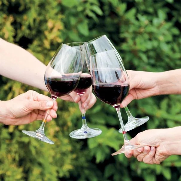 TESCOMA Sklenice na víno UNO VINO 350 ml, 6 ks