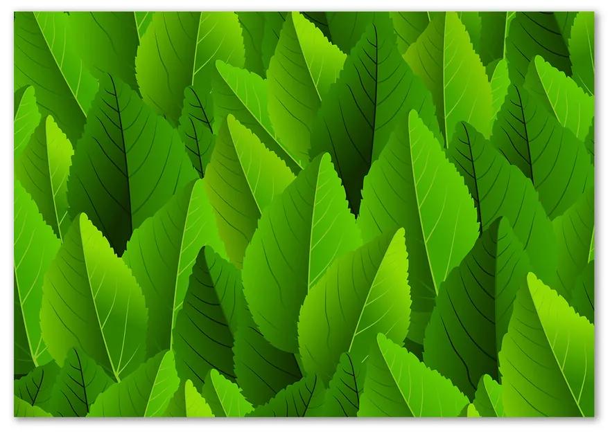 Wallmuralia Fotoobraz na skle Zelené listí 100x70 cm