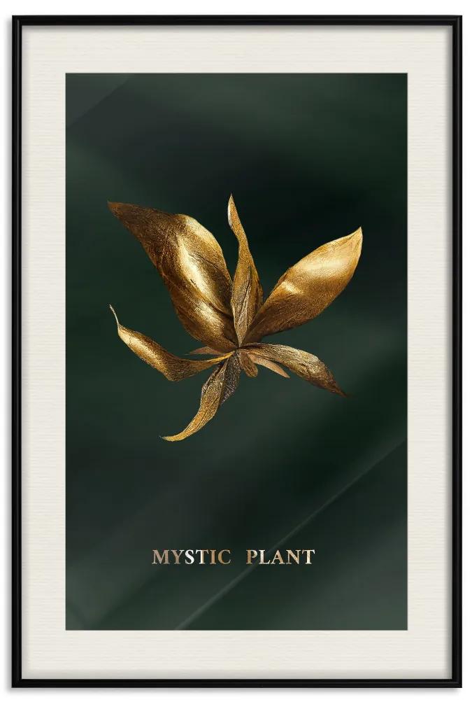 Plakát Třpytící se rostlina - květina na zeleném hedvábném pozadí