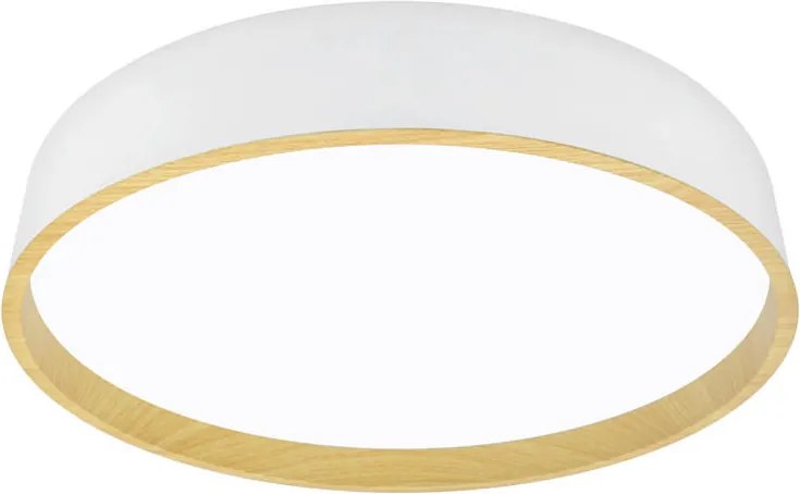 XXXLutz STROPNÍ LED SVÍTIDLO, 40/8 cm - Stropní svítidla - 004182003801