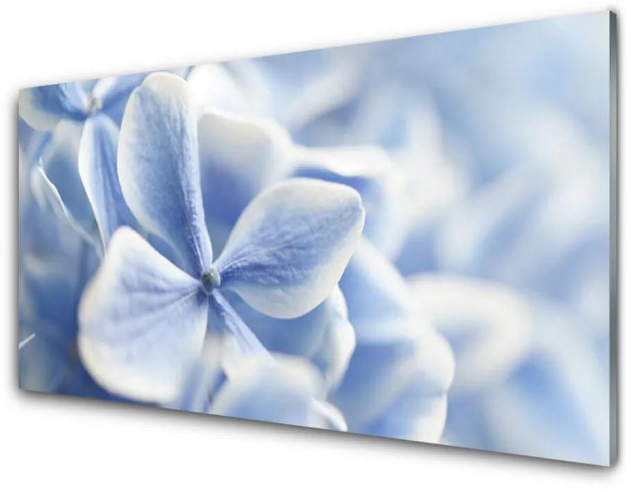 Plexisklo-obraz Květiny Plátky Příroda 125x50 cm