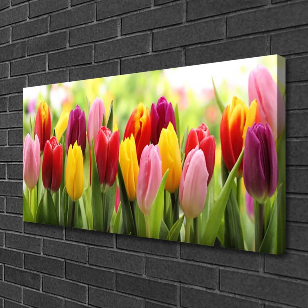 Obraz na plátně Tulipány Květiny Příroda 100x50 cm