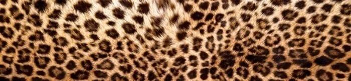 DIMEX | Fototapeta do kuchyně Leopardí kůže KI-260-069 | 260 x 60 cm | béžová, černá, hnědá