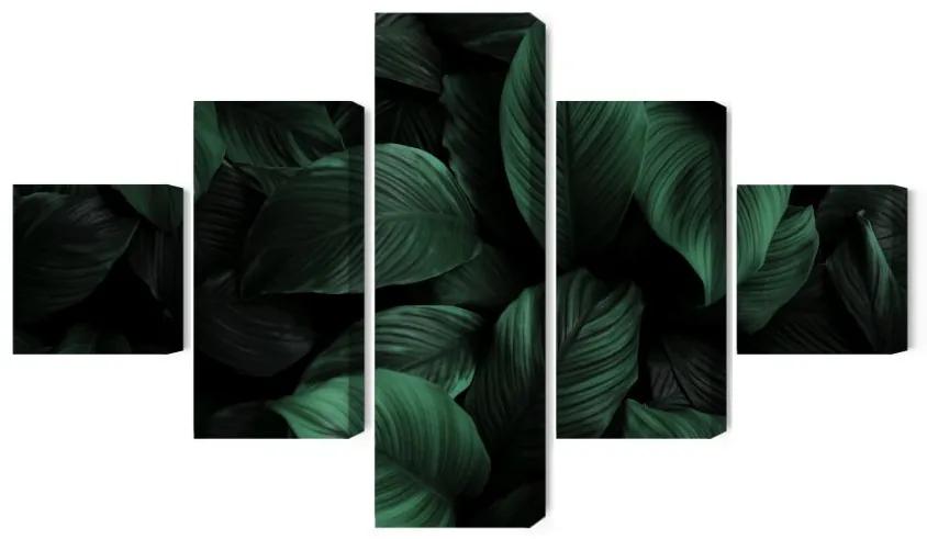 Vícedílný obraz Zelené Listy Na Makro Stupnici Nedostatek Nedostatek Plátno Canvas 250x150