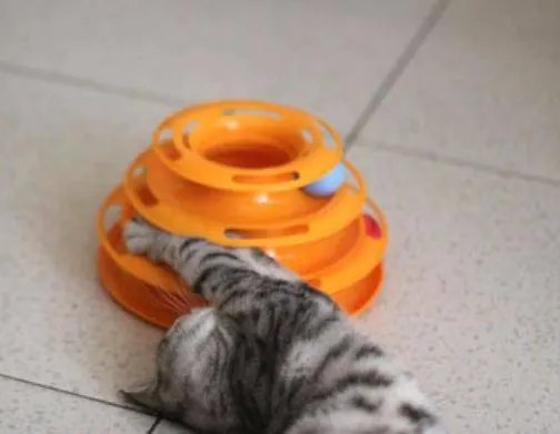 Hračka pro kočky – věž s míčky