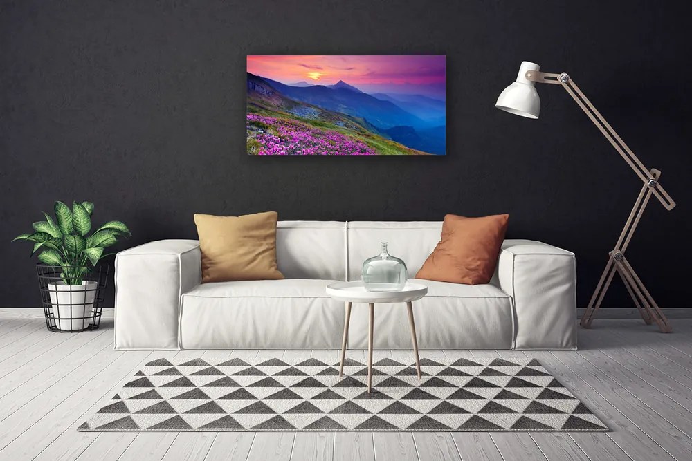 Obraz na plátně Hory Louka Květiny Krajina 125x50 cm