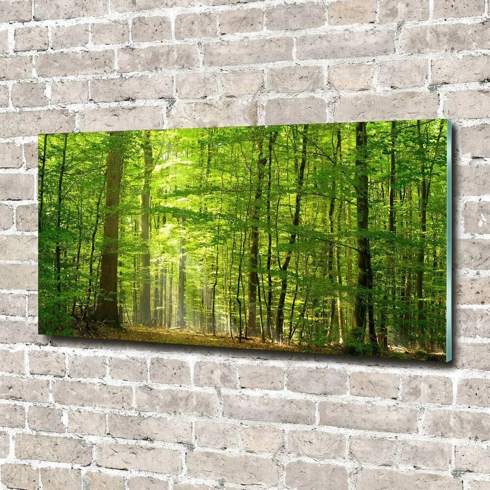 Wallmuralia Foto obraz sklo tvrzené Listnatý strom 140x70 cm