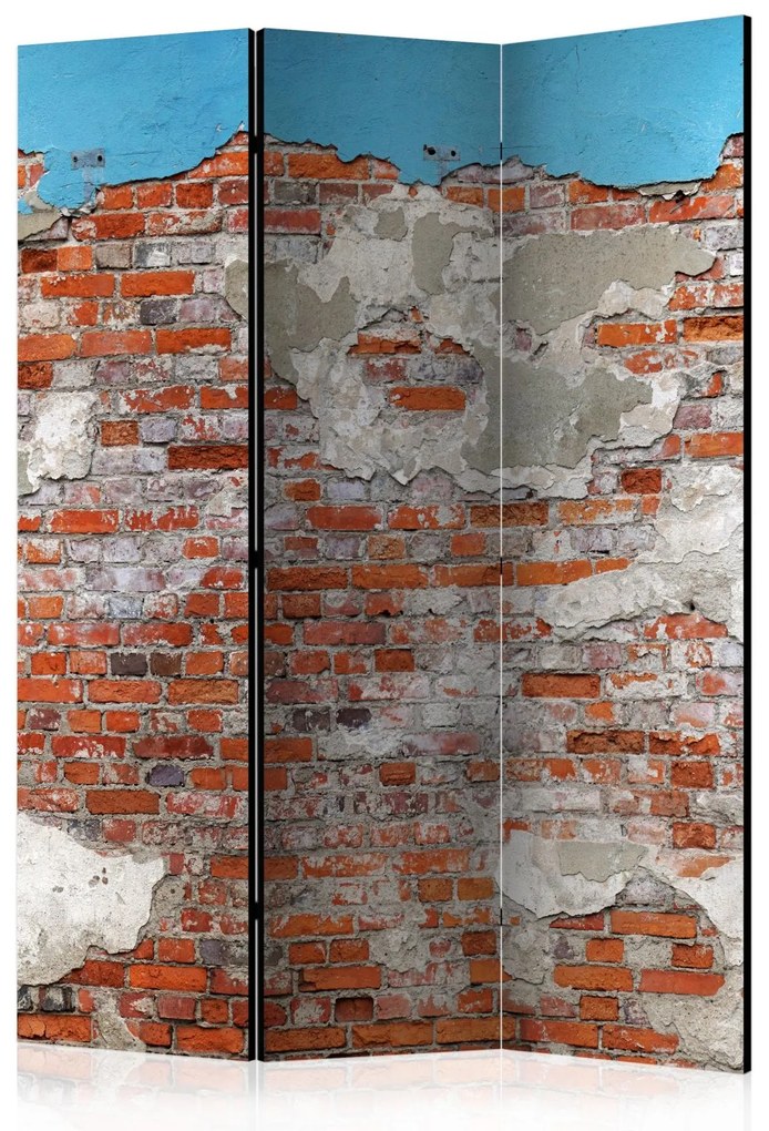 Paraván - Secrets of the Wall [Room Dividers] 135x172