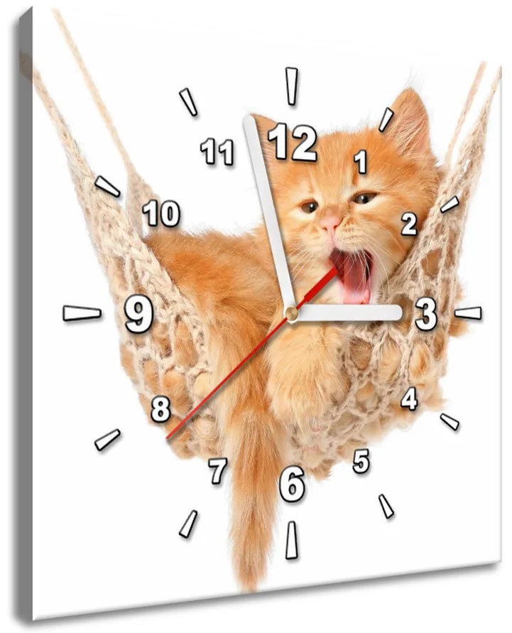 Gario Obraz s hodinami Kotě na houpací síti Velikost: 30 x 30 cm