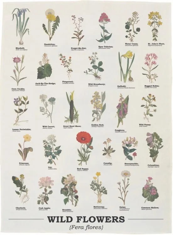 Utěrka z bavlny Gift Republic Wild Flowers, 50 x 70 cm