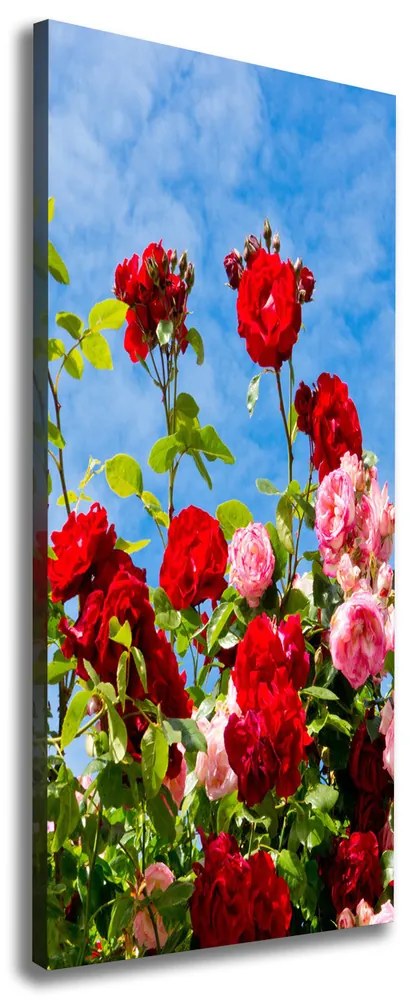 Wallmuralia Foto obraz na plátně do obýváku Divoká růže 50x125 cm