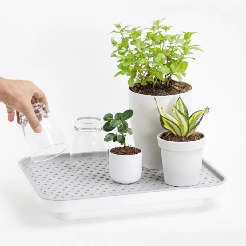 Qualy design zavlažovací/odkapávací podnos oasis tray 10309