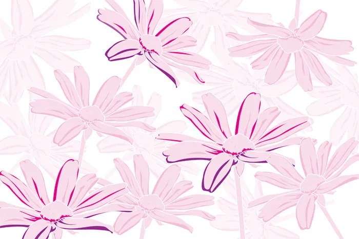 Fototapeta DIMEX Marguerite Violet XL-343| 330 x 220 cm