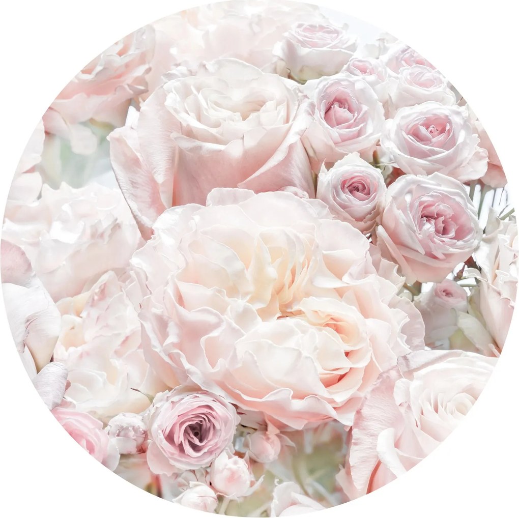 Komar Samolepicí vliesová fototapeta Dot Pink and Cream Roses pr. 125 cm