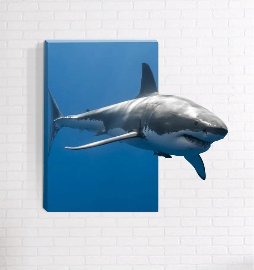 Nástěnný 3D obraz Mosticx Predátor, 40 x 60 cm