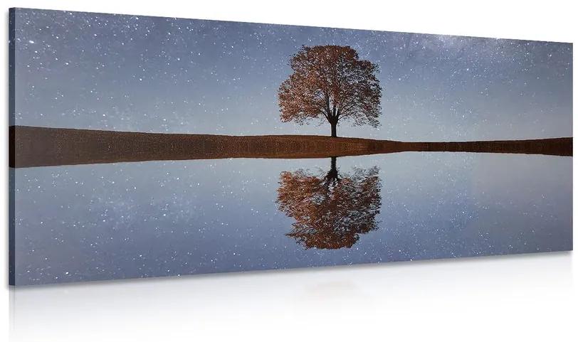 Obraz hvězdná obloha nad osamělým stromem Varianta: 120x60