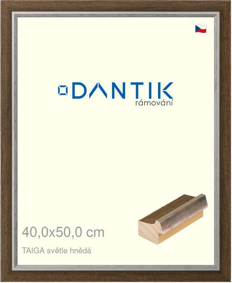 DANTIK rámeček 40x50 | TAIGA sv.hnědá (Plexi Čiré)