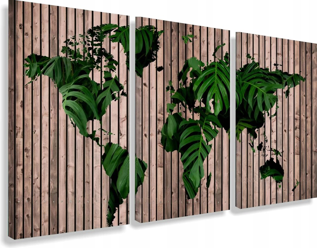 Obraz na zeď triptych do obývacího pokoje mapa dřevo listy monstera 90x180 cm