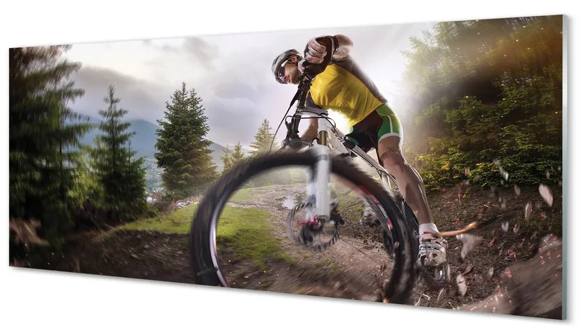 akrylový obraz Cloud na horském kole 120x60 cm