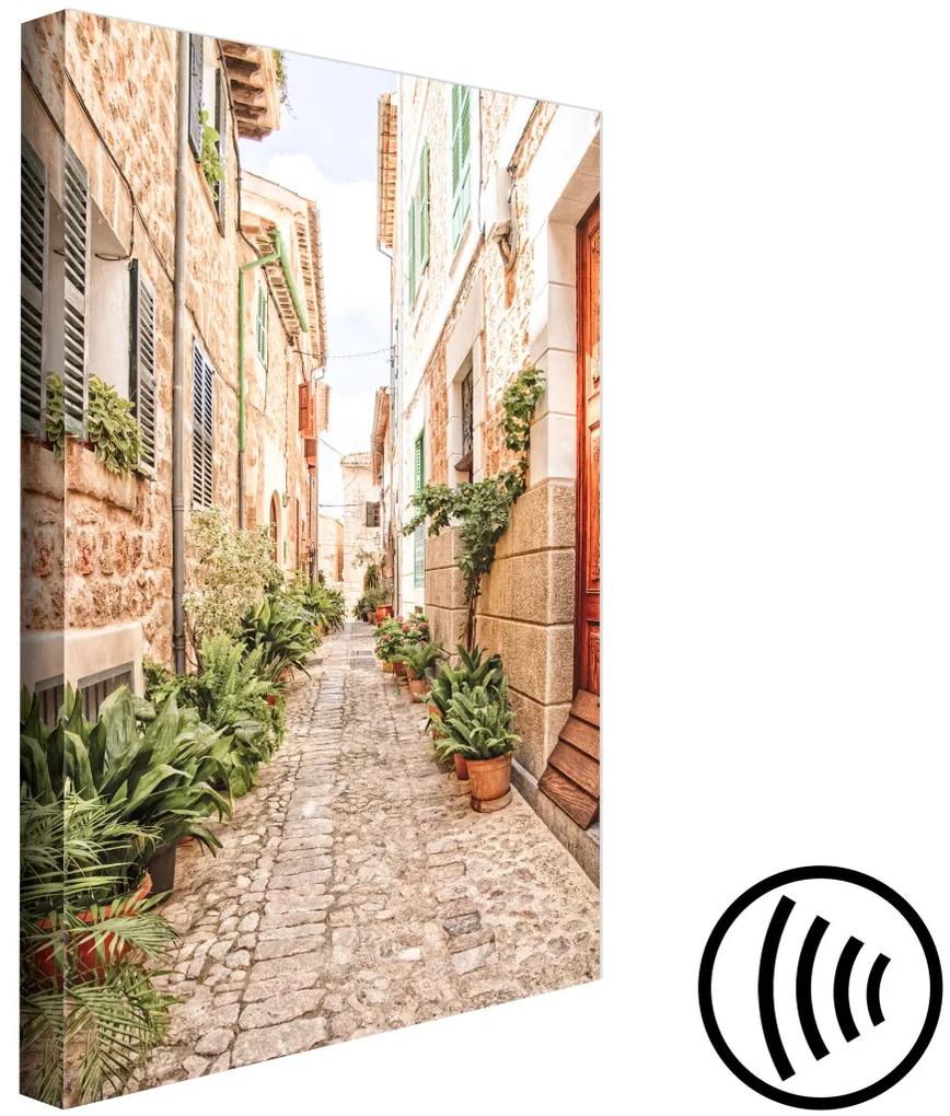 Obraz Tichá ulička (1-dílný) - pohled na španělské město a rostliny