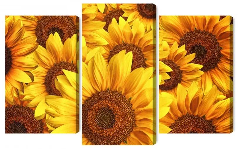 Vícedílný obraz 3D Květy Slunečnice Nedostatek Nedostatek Přírodní plátno 90x60